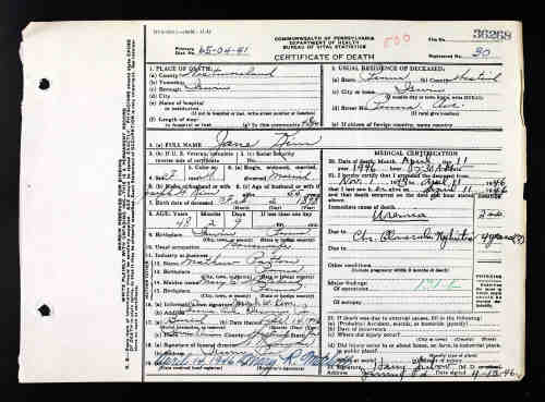 The Patton Family Tree