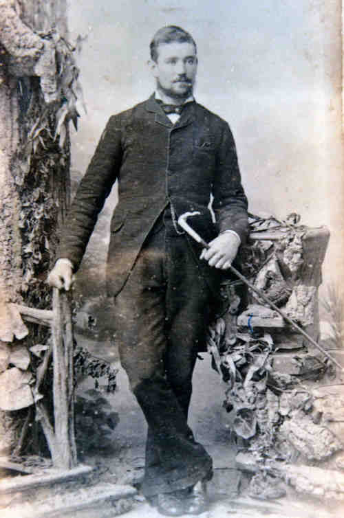 The Patton Family Tree